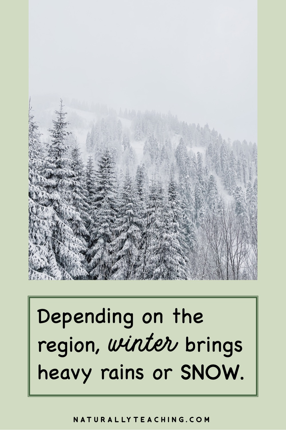 A Helpful Guide to Teaching the Season Transition to Winter - Naturally ...