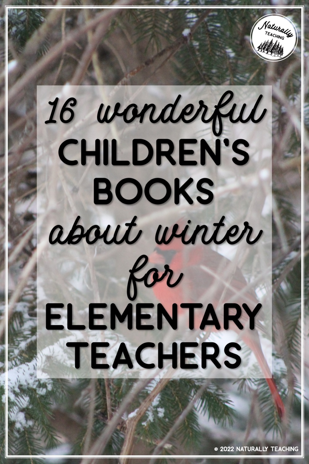 16 Wonderful Children's Books About Winter for Elementary Teachers ...