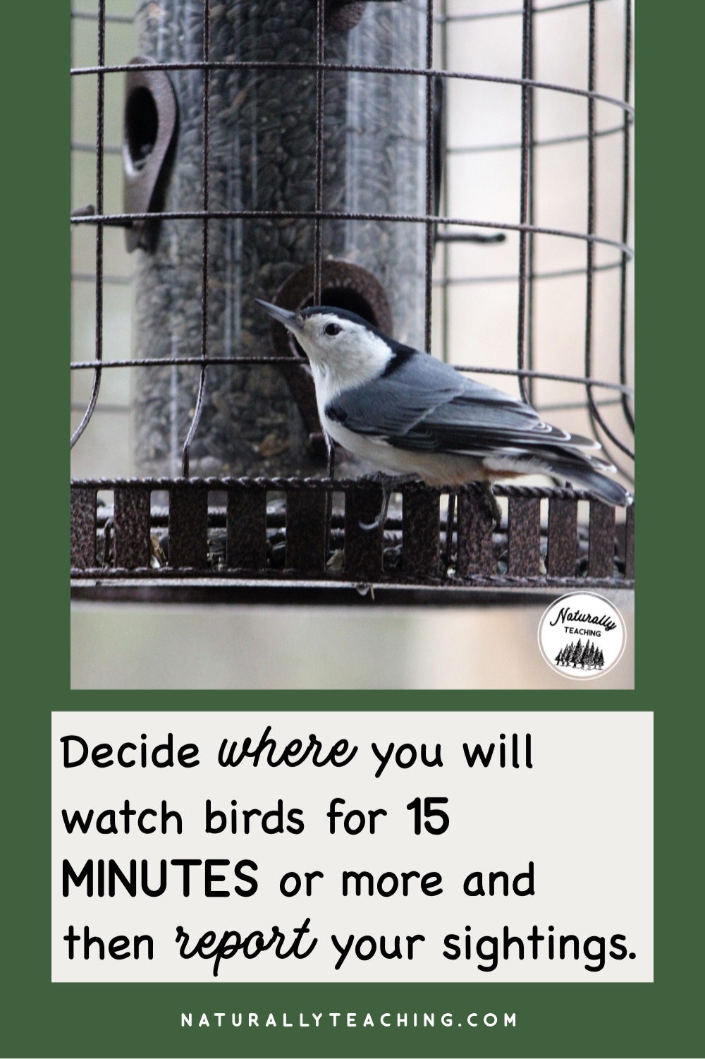 The Great Backyard Bird Count: How to Take Part for Elementary Teachers ...