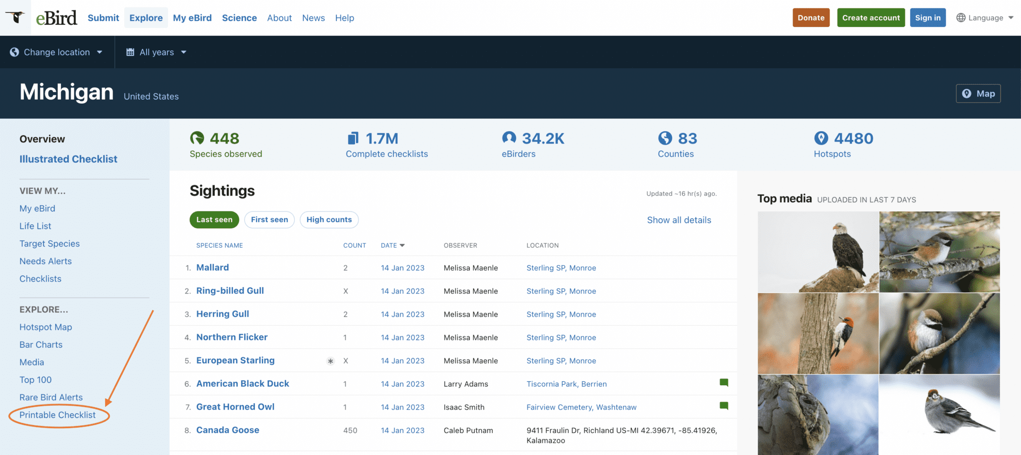 The Great Backyard Bird Count: How to Take Part for Elementary Teachers ...
