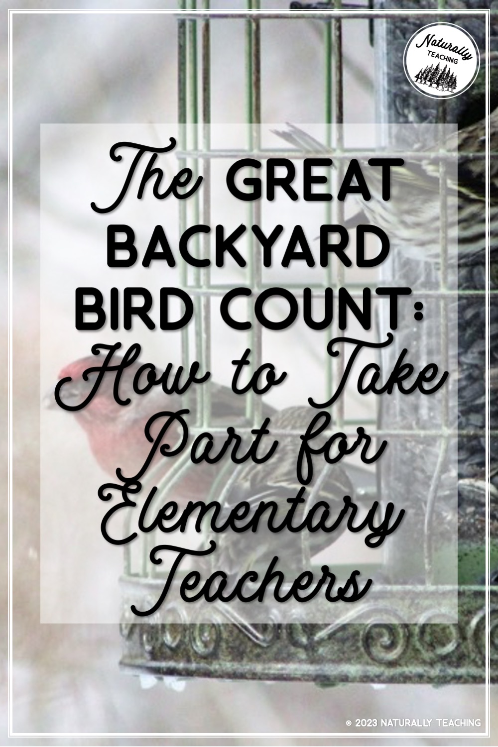 The Great Backyard Bird Count: How to Take Part for Elementary Teachers ...