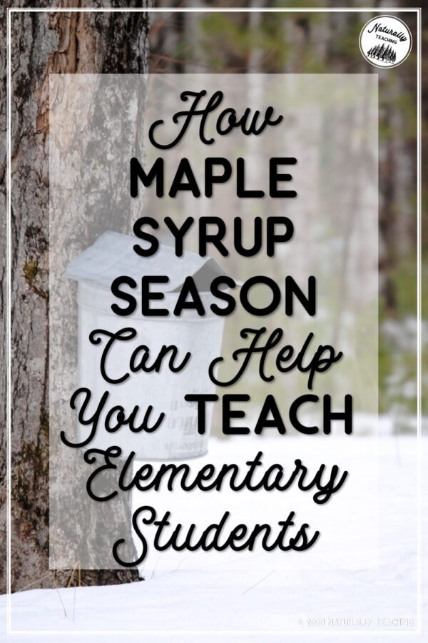 How Maple Syrup Season Can Help You Teach Elementary Students ...
