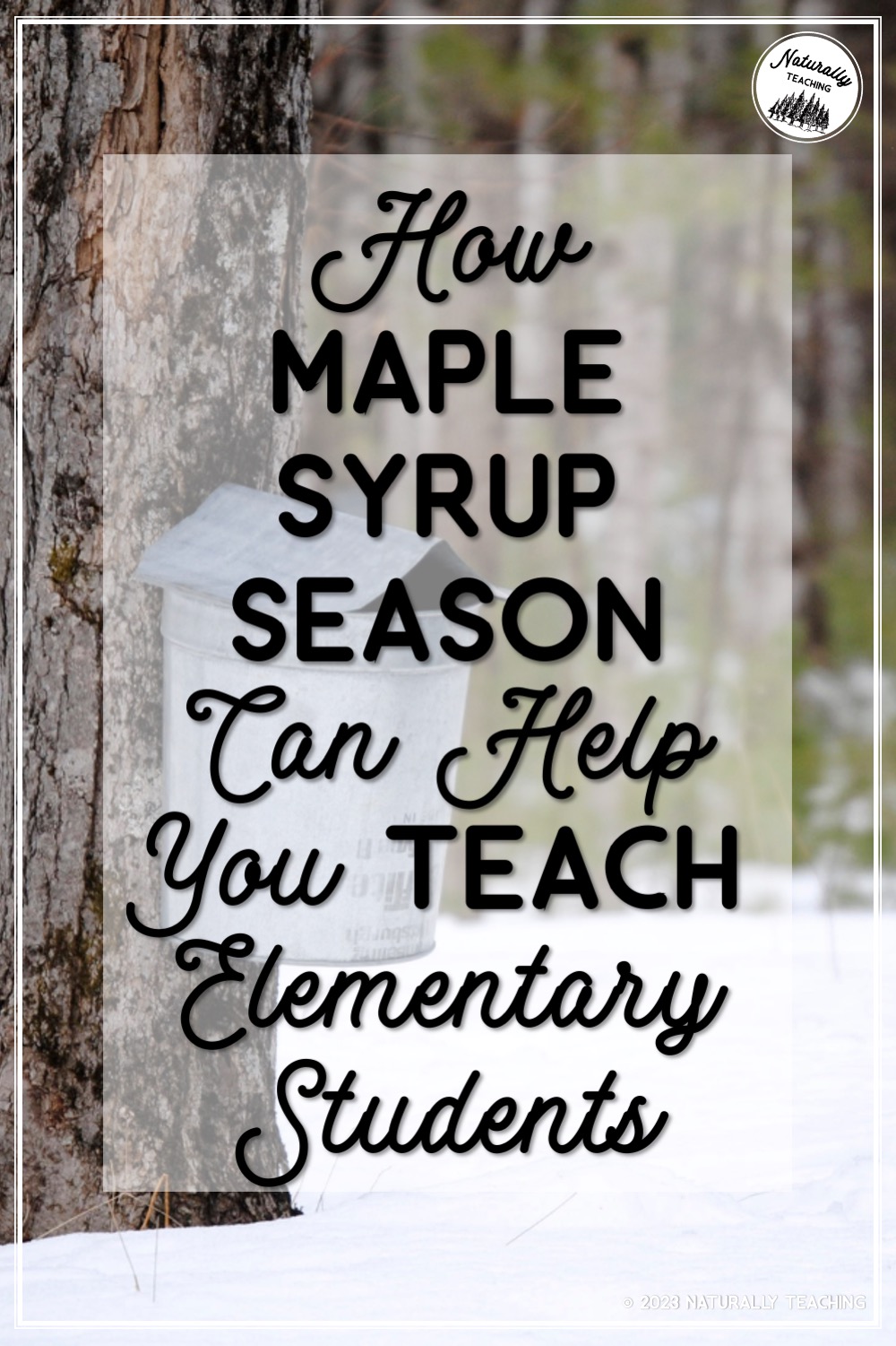 How Maple Syrup Season Can Help You Teach Elementary Students ...