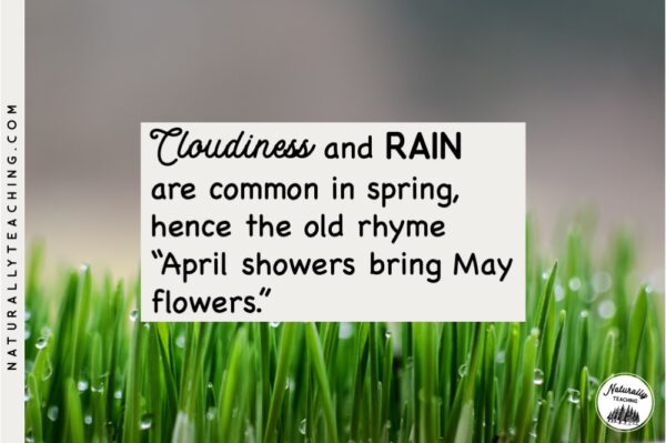 A Helpful Guide to Answering the Question, "What is the Spring Season ...