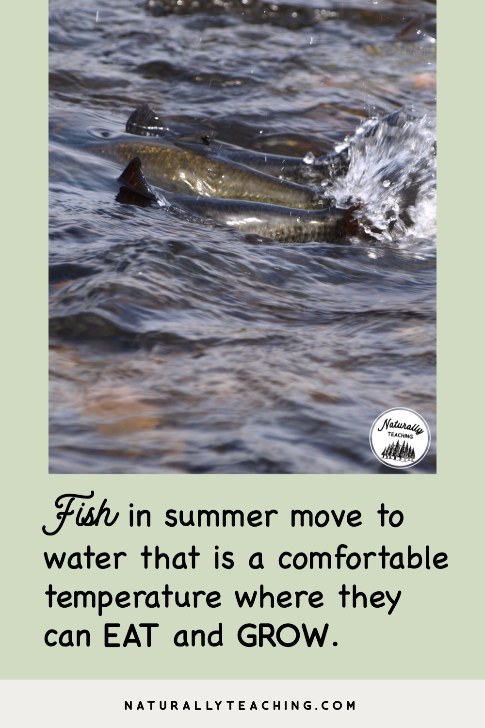 Teaching the Weather of Summer: A Helpful Guide for Elementary Teachers ...