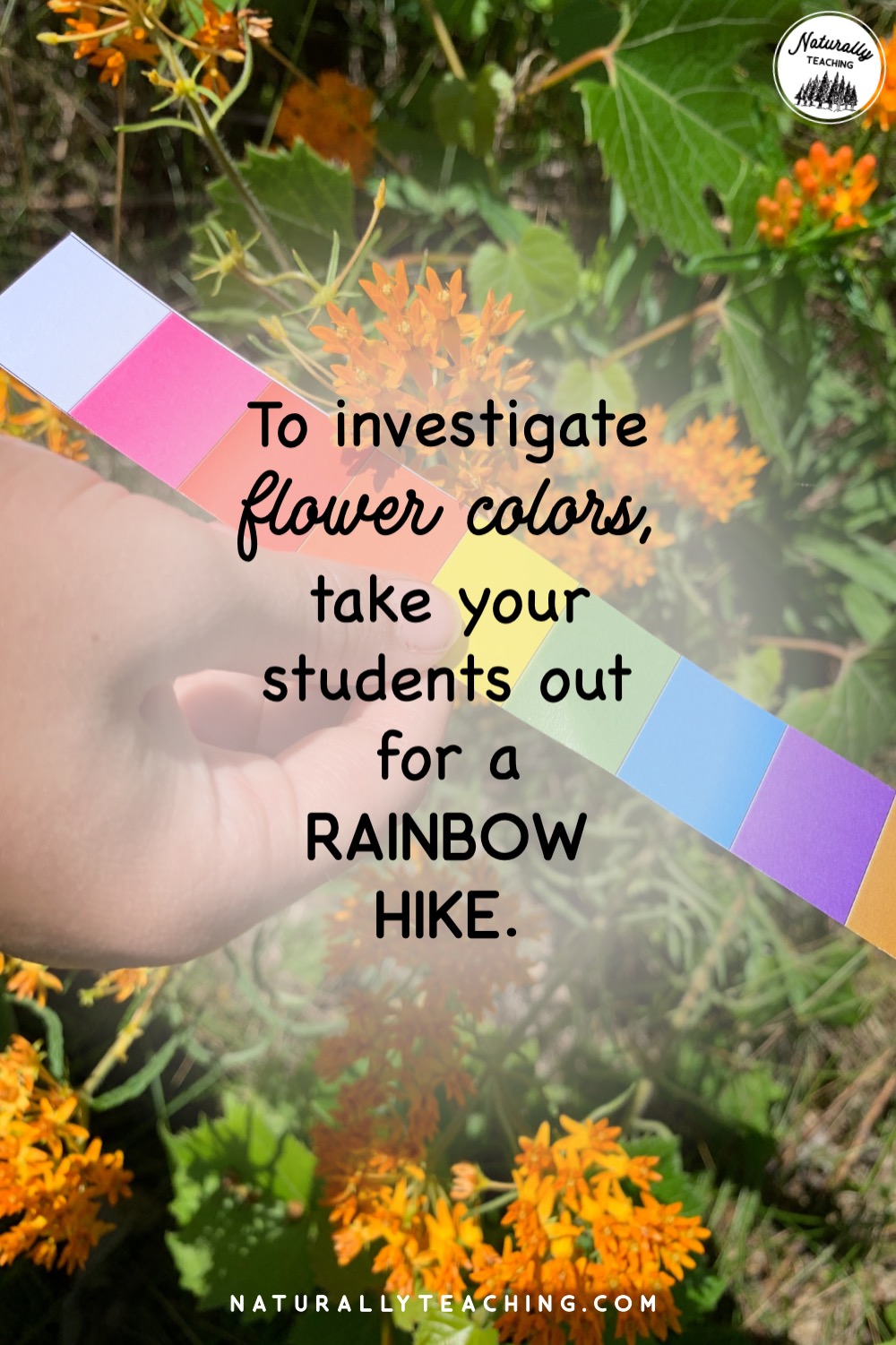 Pollination for Plants: How to Use "Flowers Are Calling" for Effective ...