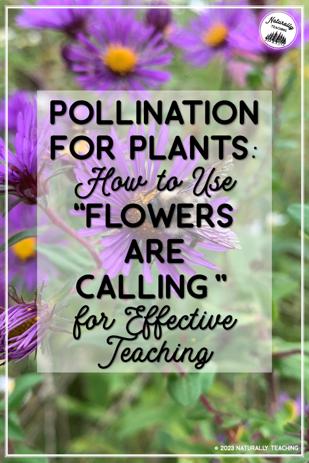 Pollination for Plants: How to Use "Flowers Are Calling" for Effective ...