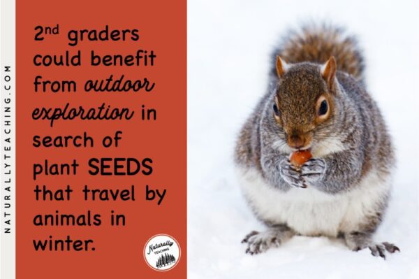 "Over and Under the Snow" by Kate Messner: Teaching Animal Adaptations ...