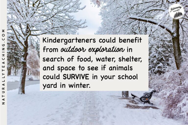 "Over and Under the Snow" by Kate Messner: Teaching Animal Adaptations ...