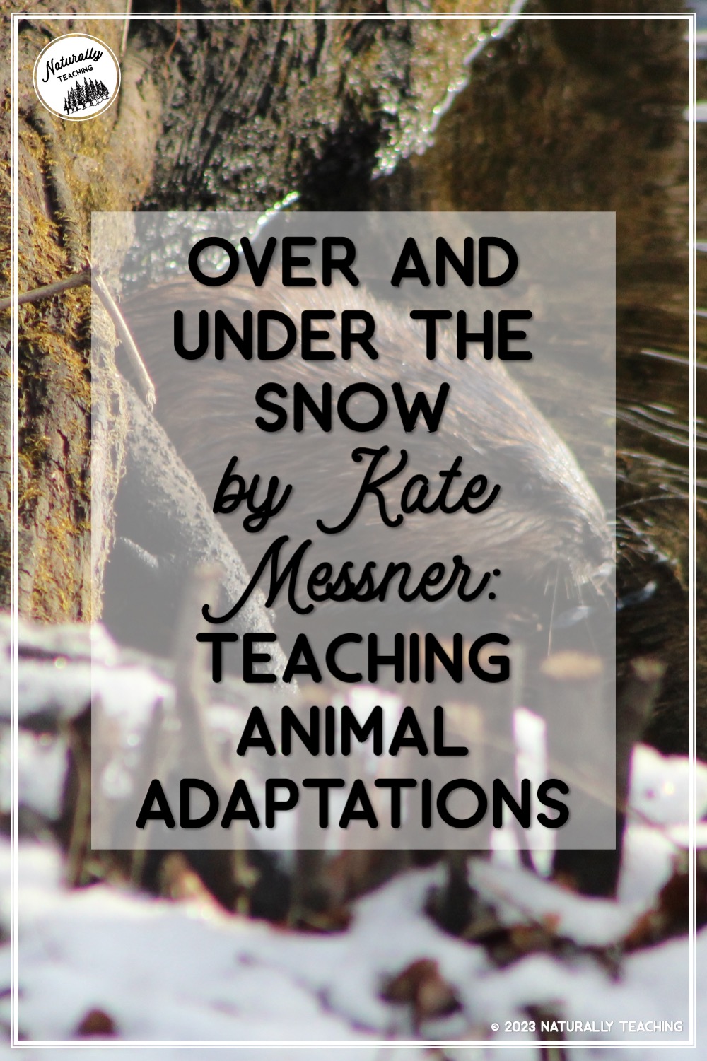 "Over and Under the Snow" by Kate Messner: Teaching Animal Adaptations ...