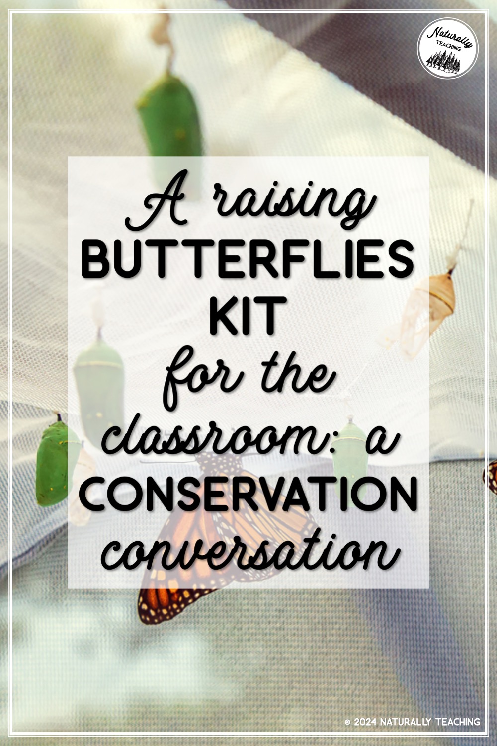 A Raising Butterflies Kit for the Classroom Conversation