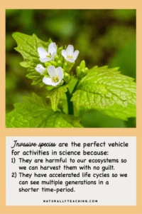6 Invasive Species Activities to Use in Elementary School