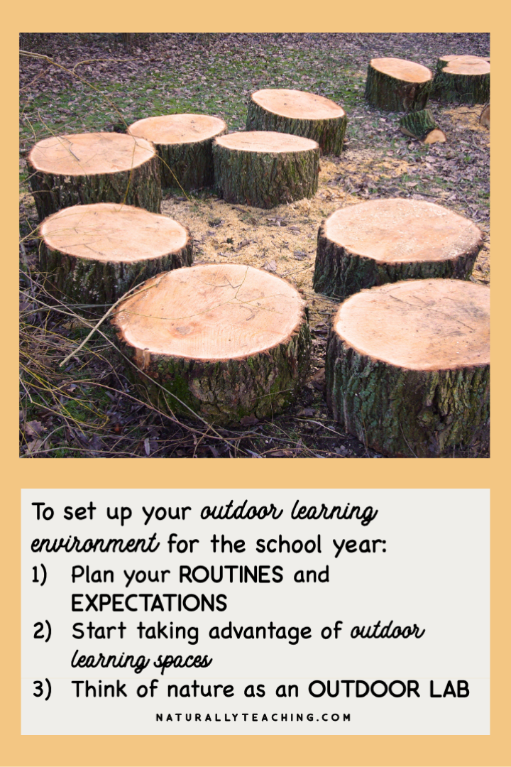 Outdoor Learning Environment: 3 Things to Plan