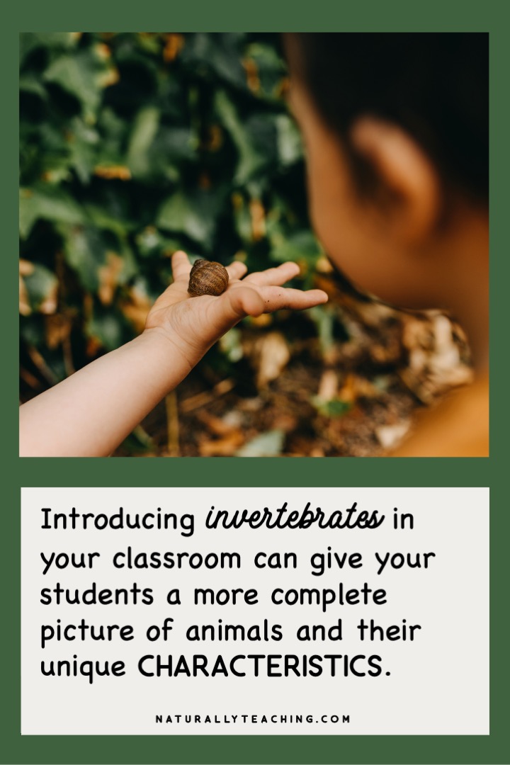 Exploring Invertebrates: 10 Picture Books for Elementary