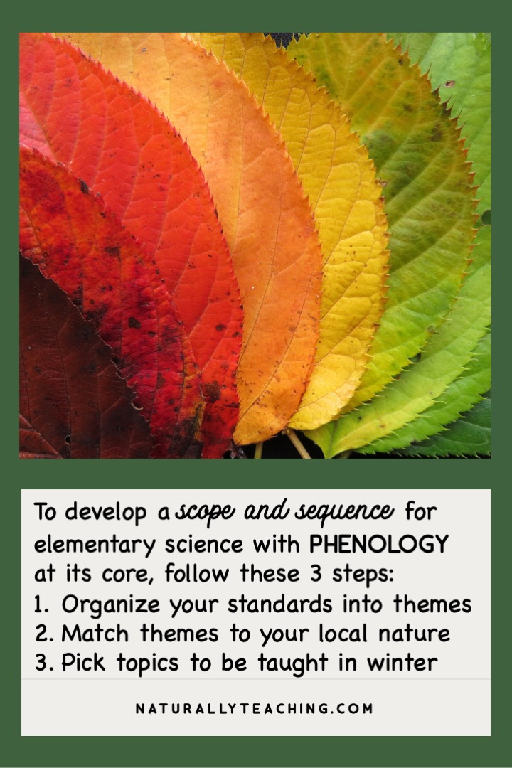 Teaching with Phenology: How to Teach with Seasonal Studies