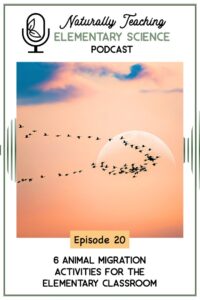 6 Animal Migration Activities for the Elementary Classroom