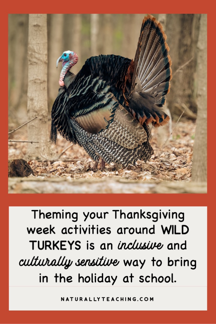 4 Turkey Day Activities and Books for Elementary Students