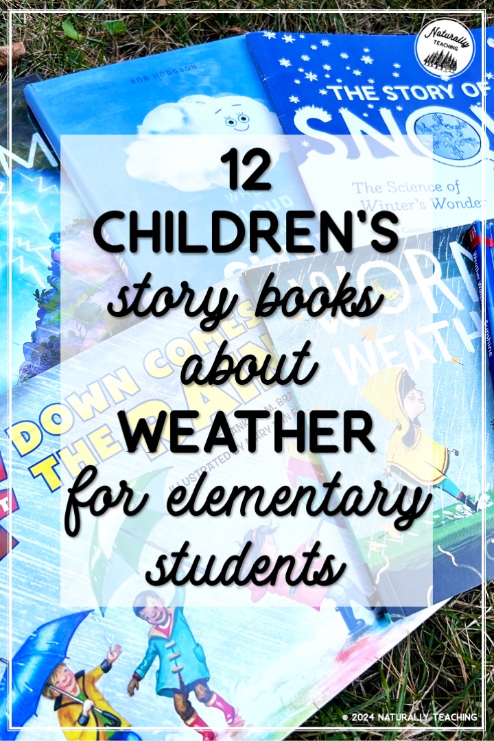 12 Children's Story Books About Weather