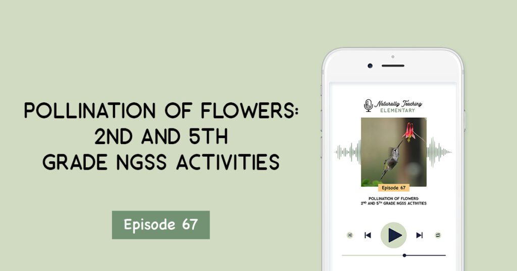 Pollination of Flowers: 2nd and 5th Grade NGSS Activities