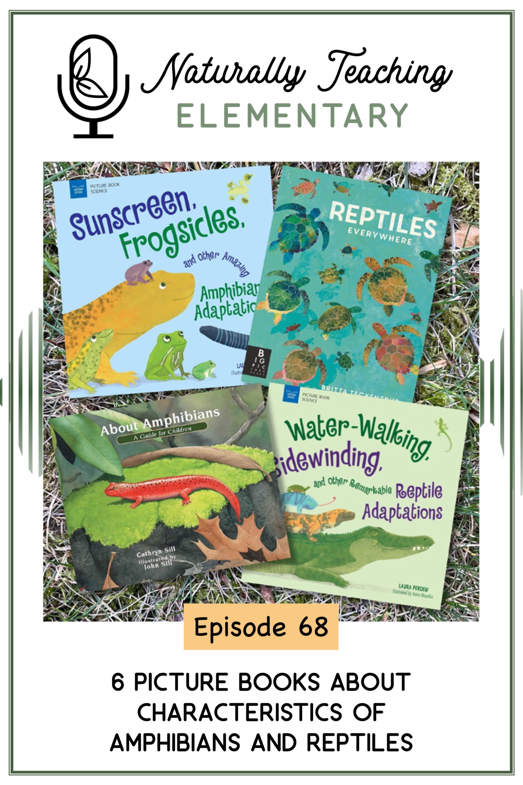 6 Books About Characteristics of Amphibians and Reptiles